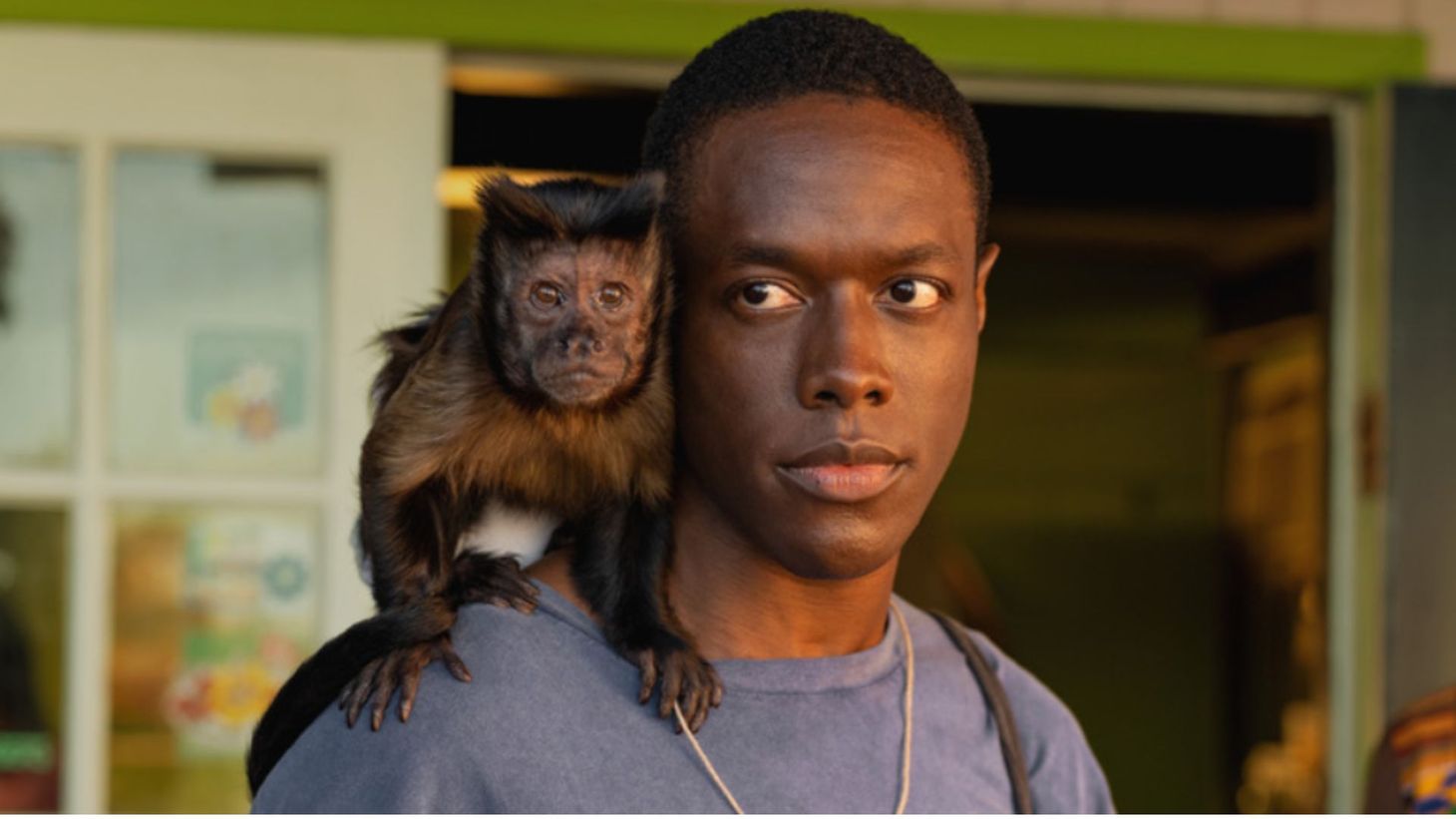 Character: Apple TV's Bad Monkey: A complete guide to all the ...