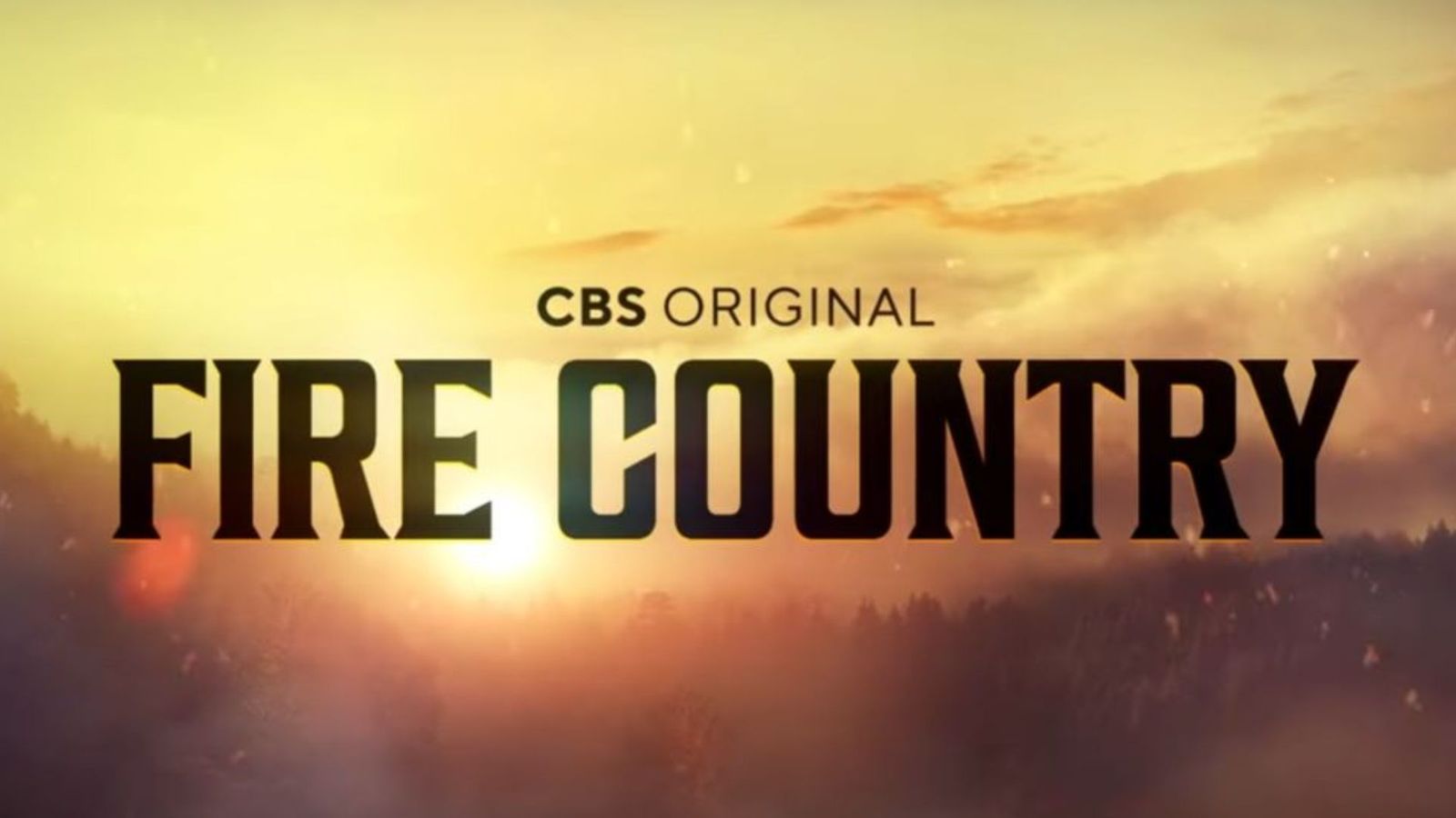 Fire Country: What happened to Bode's mom, Sharon? Explained