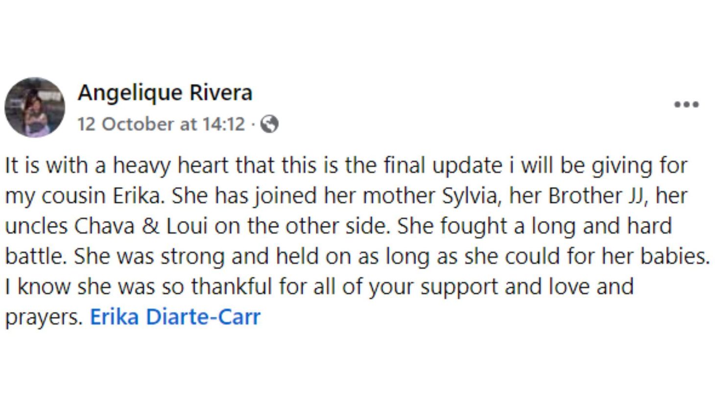 Erika Carr GoFundMe raises over $1.1 Million as Utah Mom dies after ...