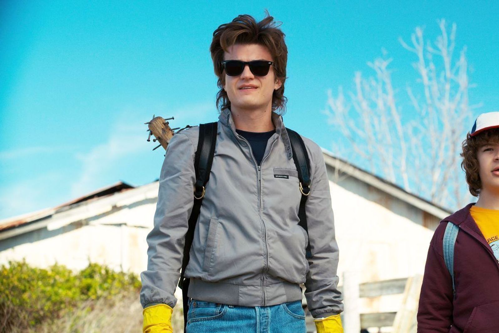 Who is Steve in Stranger Things?