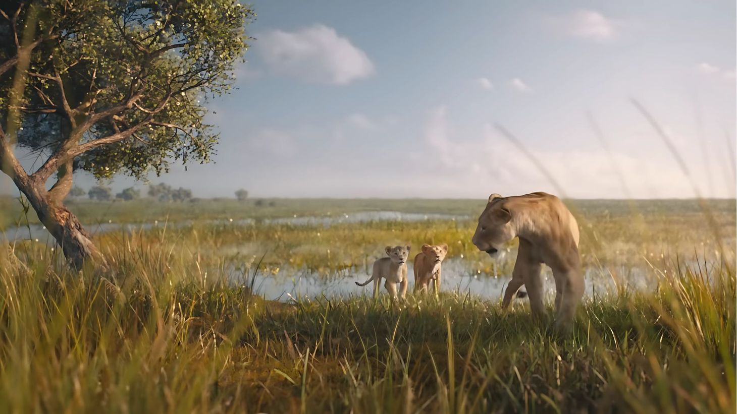 How did Scar get his scar in Mufasa: The Lion King? Details explored