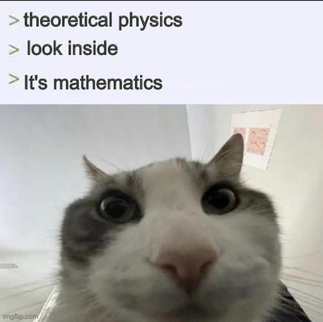 80+ Cat Memes That’ll Have You Howling