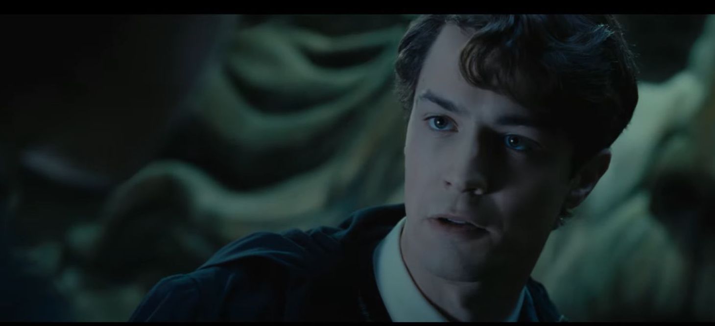 Who plays Voldemort in Harry Potter?