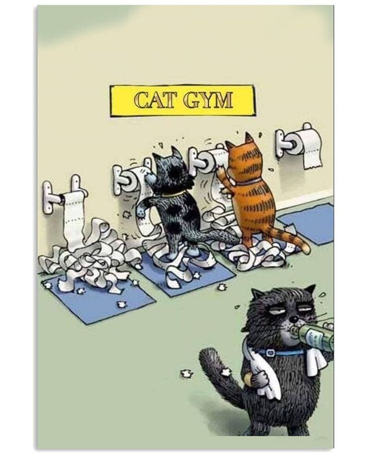 80+ Cat Memes That’ll Have You Howling