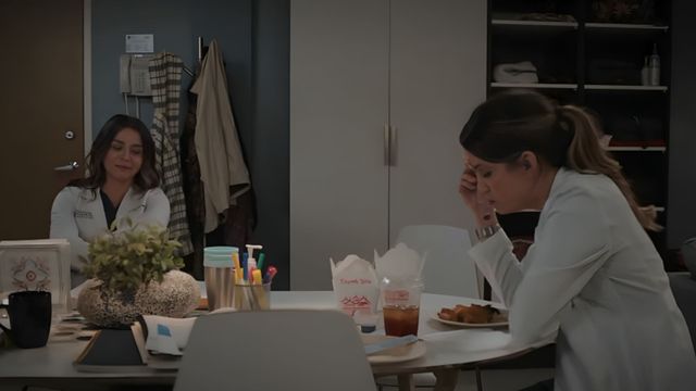 Does Grey's Anatomy Season 21 set up Amelia and Monica's romance ...