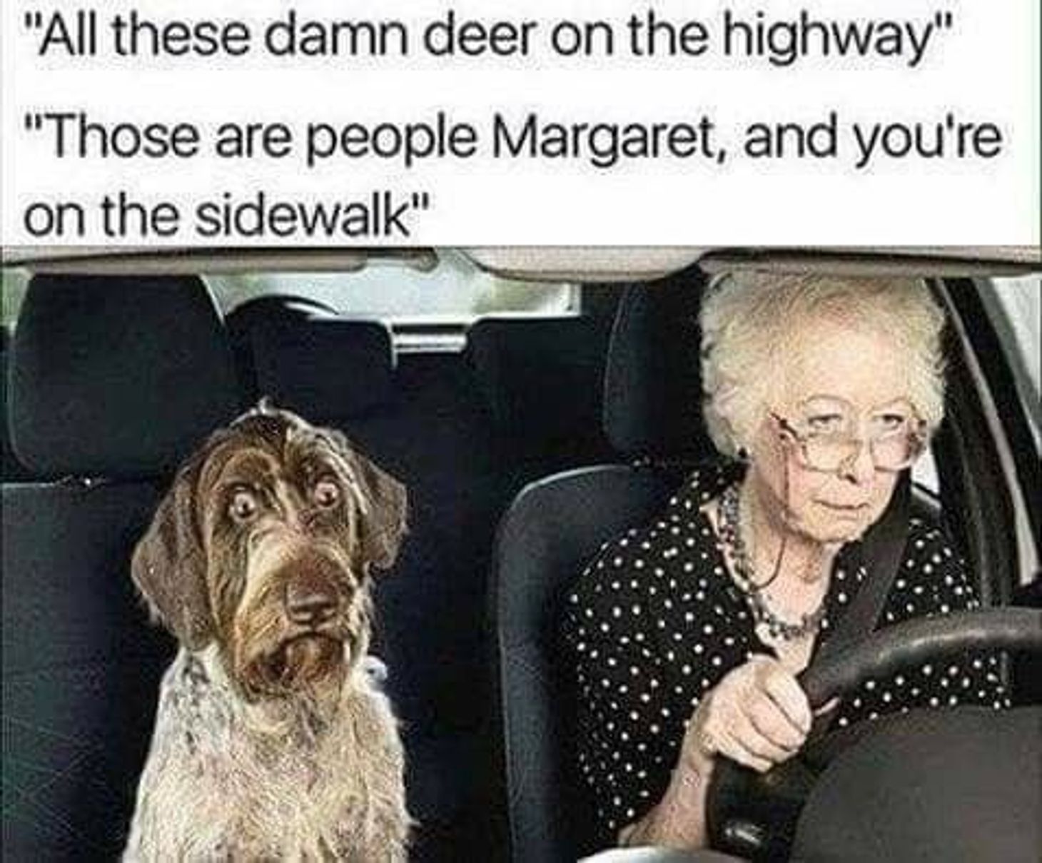 Funny old people memes that will make your teeth drop out!