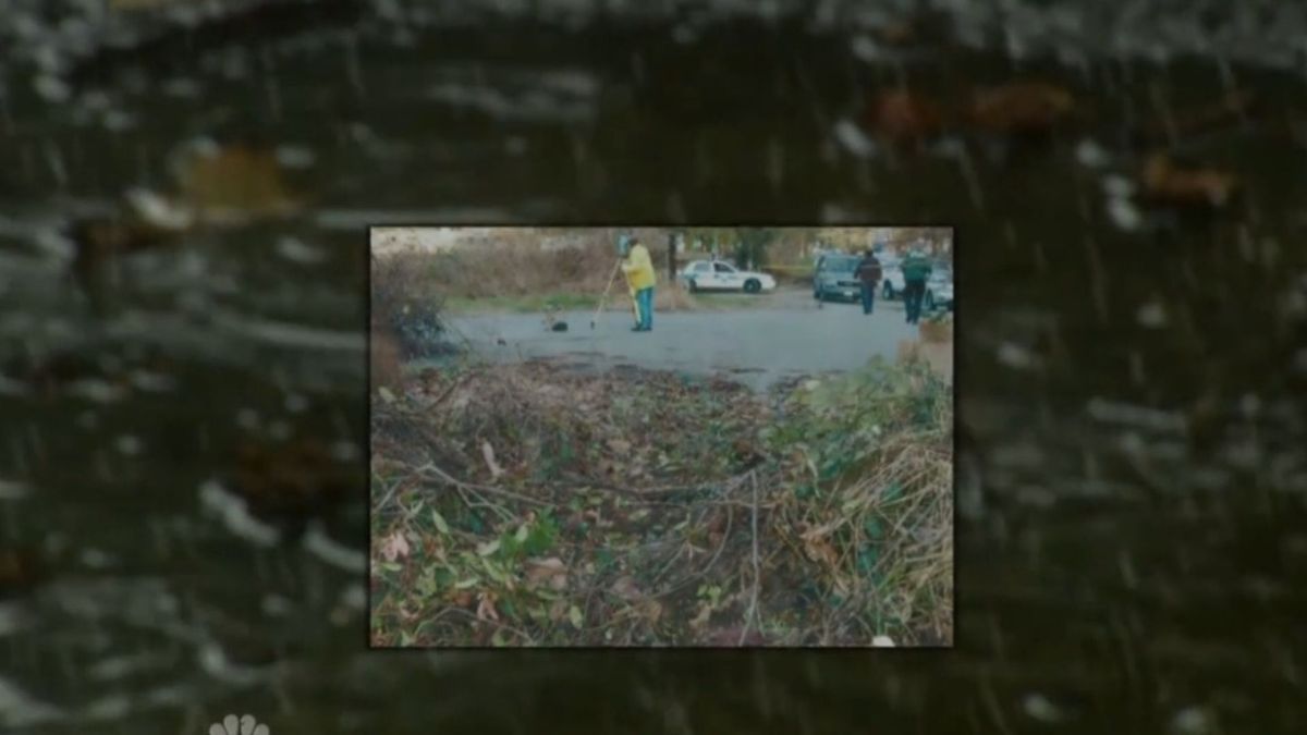 Dateline: Secrets in Seattle- 5 harrowing details about Nicole Pietz's murder, explored