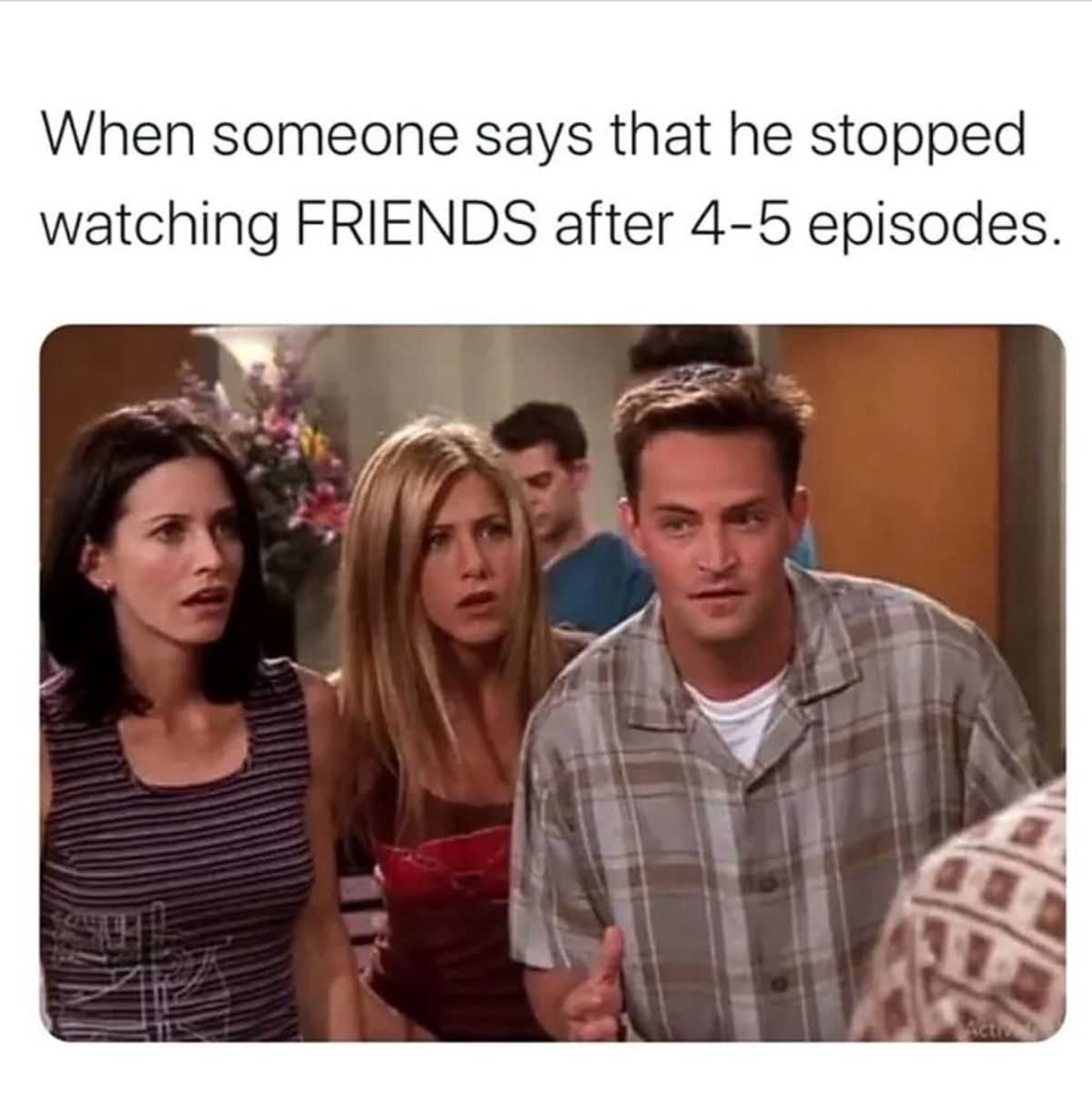 The one with the memes...40 hilarious FRIENDS memes