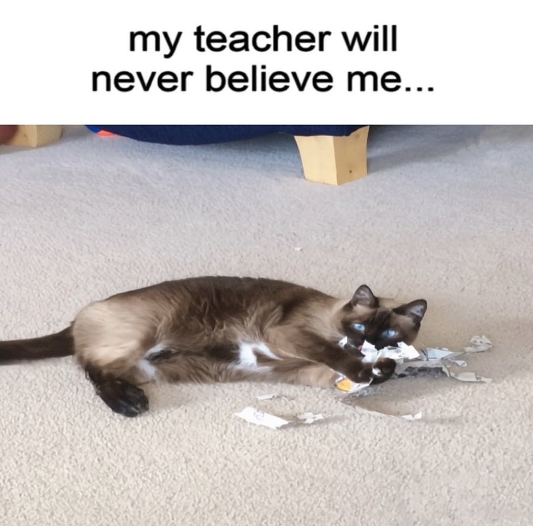 These 35 Funniest School Memes Prove That School Days Were the Best