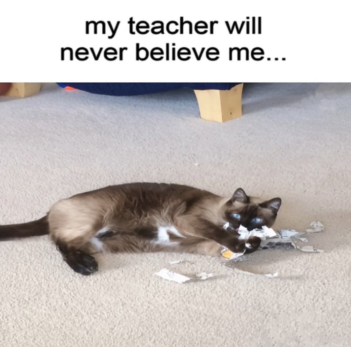 These 35 Funniest School Memes Prove That School Days Were the Best