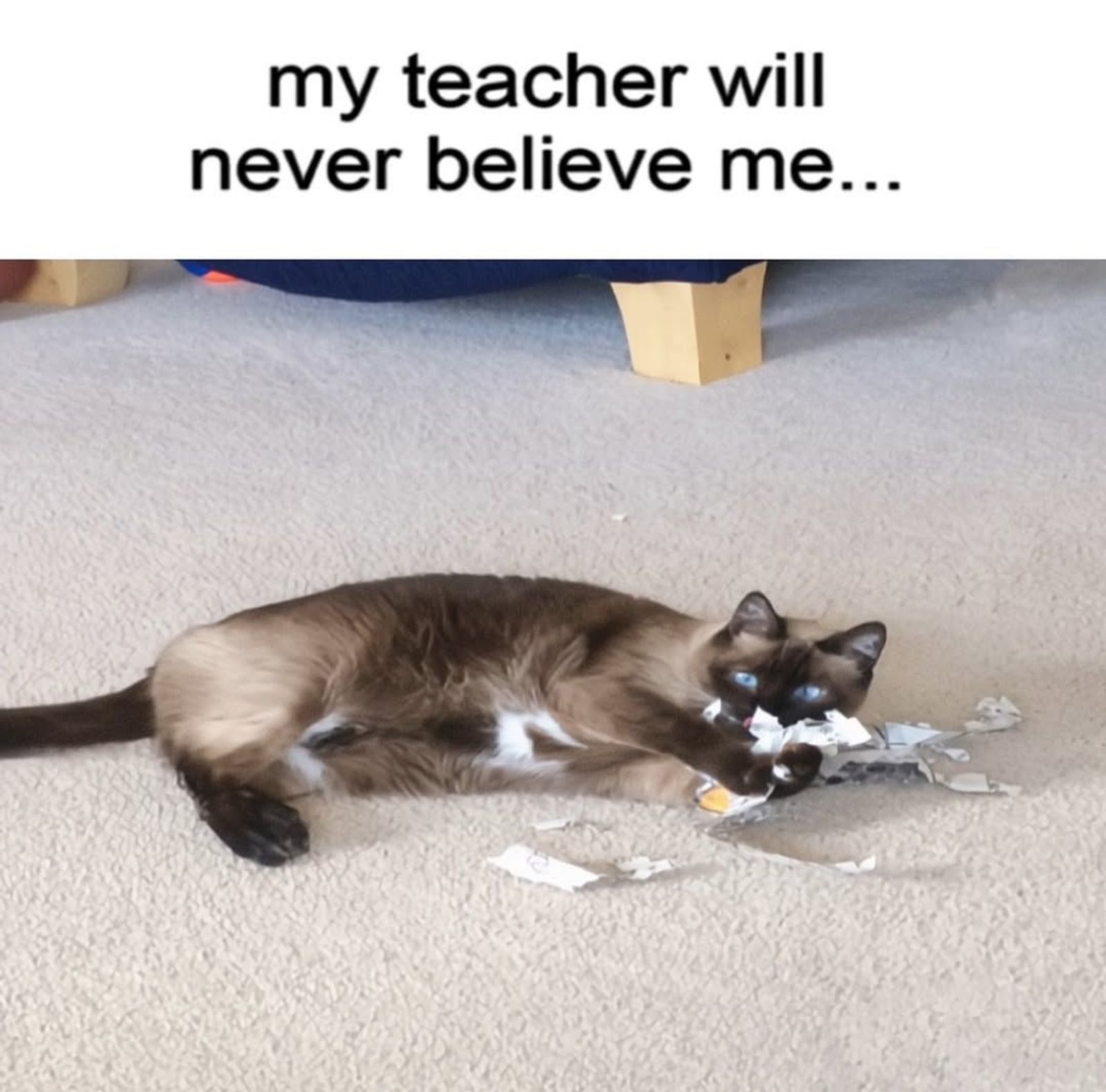 These 35 Funniest School Memes Prove That School Days Were the Best