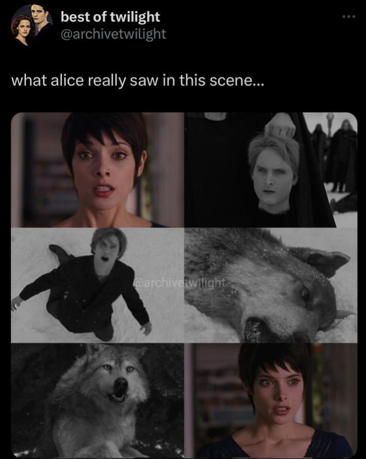 45 Twilight Memes to sink your ‘fangs’ in!