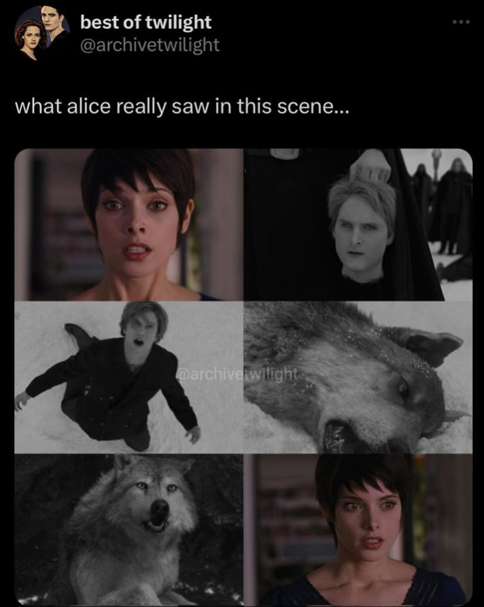 45 Twilight Memes to sink your ‘fangs’ in!