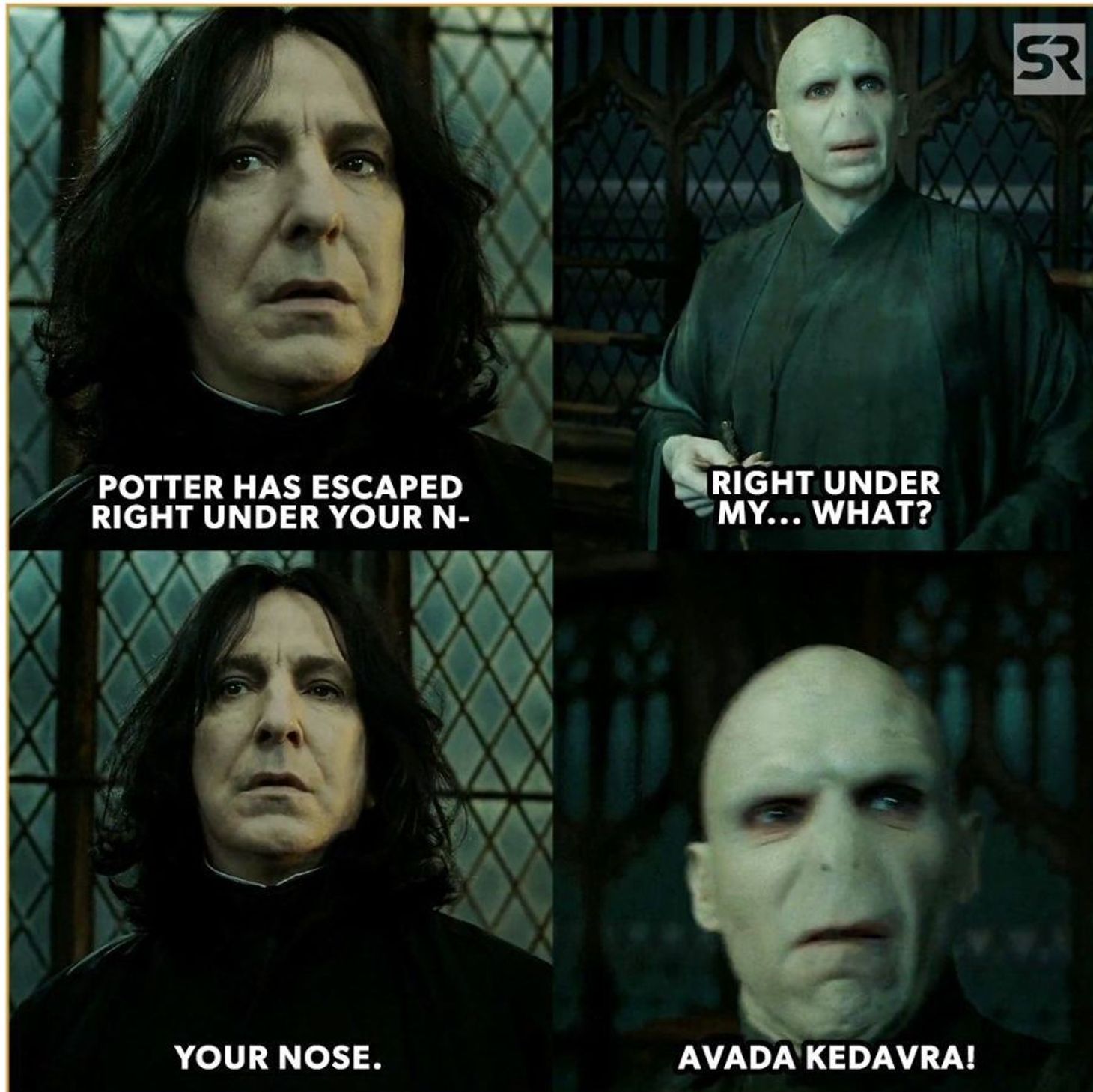 100 Harry Potter Memes That Will Make You Laugh Out Loud!