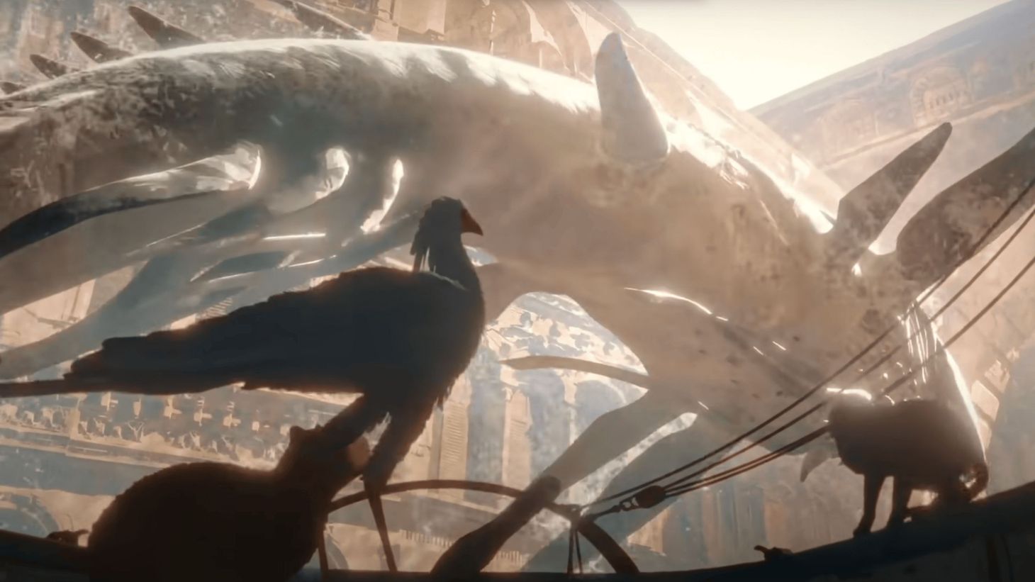 Academy Award: Flow: What happens to the bird at the end of the Academy ...