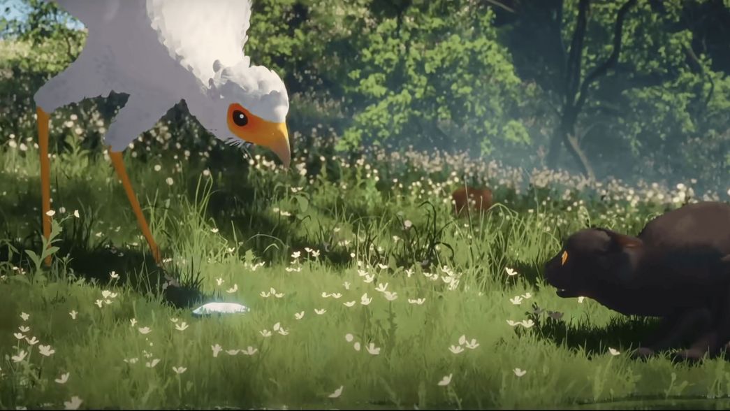 Academy Award: Flow: What happens to the bird at the end of the Academy ...