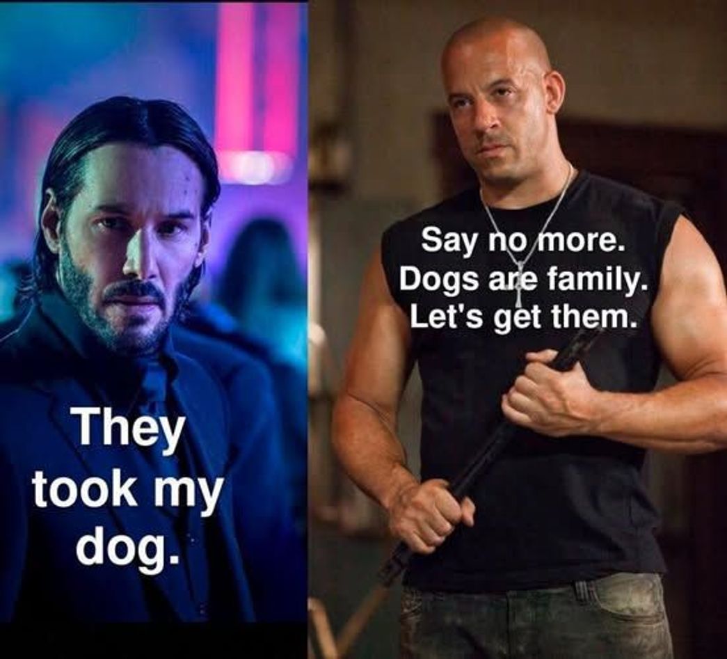 Elegantes Vin Diesel Meme Bild