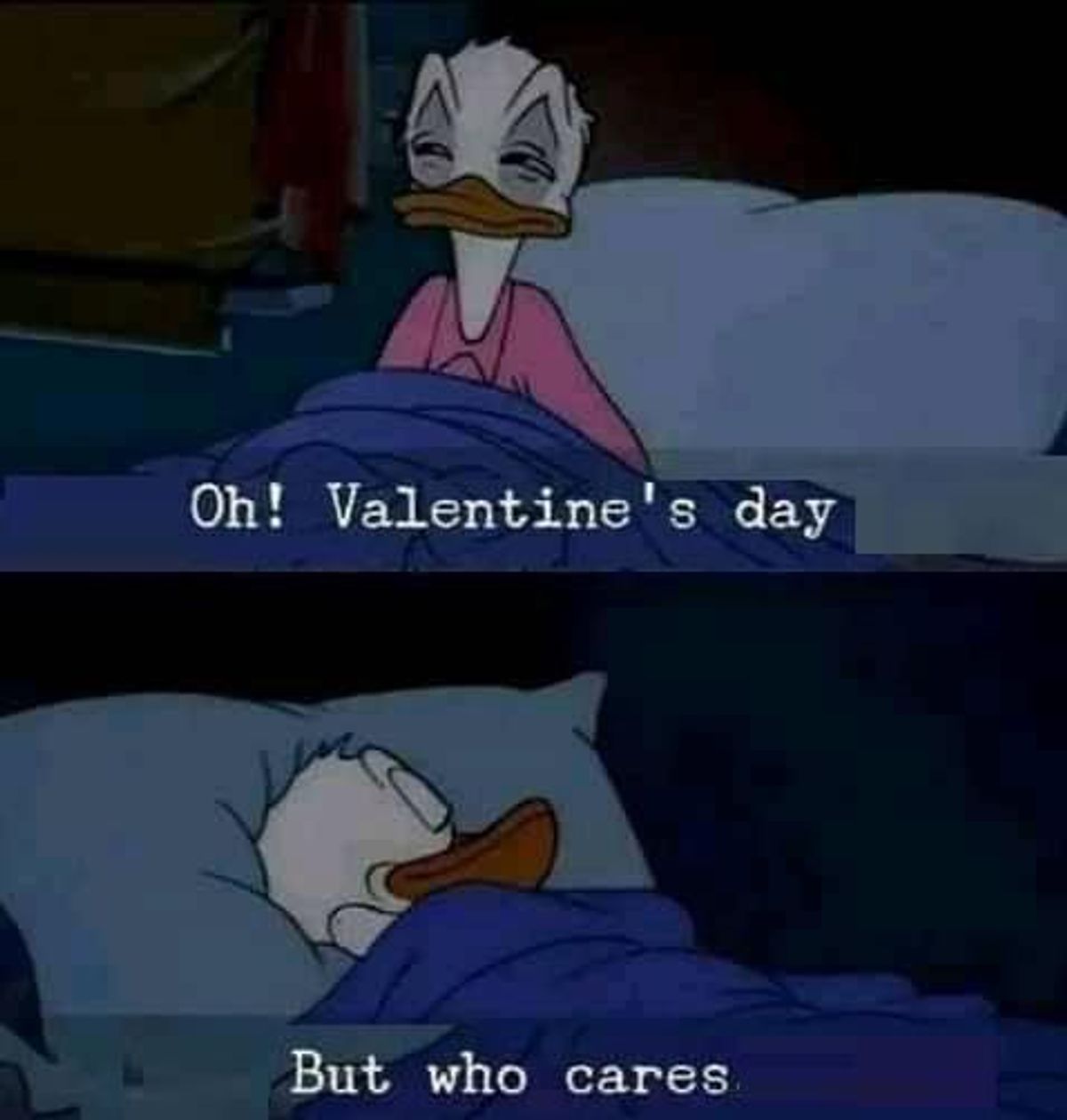 60+ Valentine's Day Memes for a Romantic Night Filled with Laughter