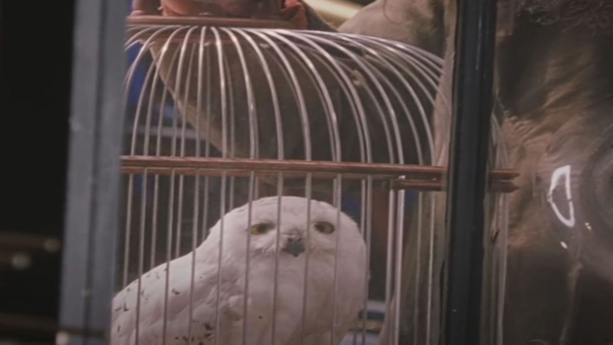 10 Details from the Harry Potter movies that make them more appealing ...