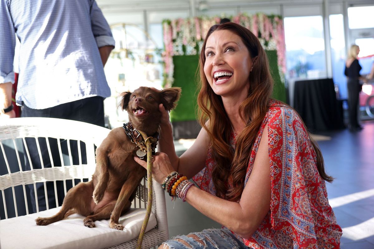 Who is Shannon Elizabeth’s husband Simon Borchert? All about 'American ...
