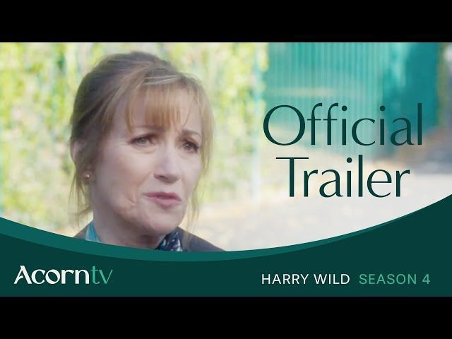 Harry Wild Season 4: Release date news, cast details, streaming details ...