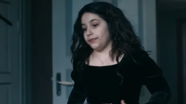 The Glass Dome cast and character guide: Who plays whom in Netflix crime drama