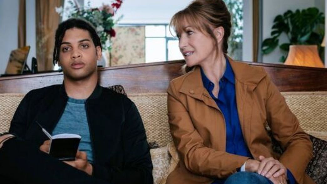 Harry Wild Season 4: Release date news, cast details, streaming details ...