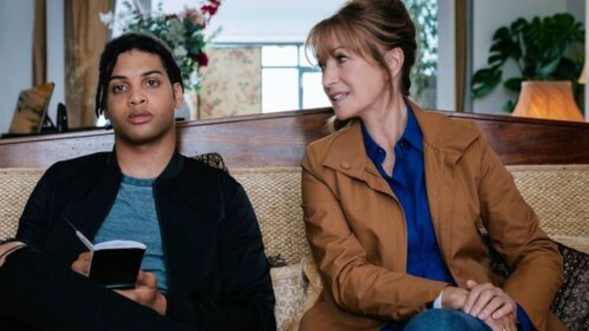 Harry Wild Season 4: Release date news, cast details, streaming details ...