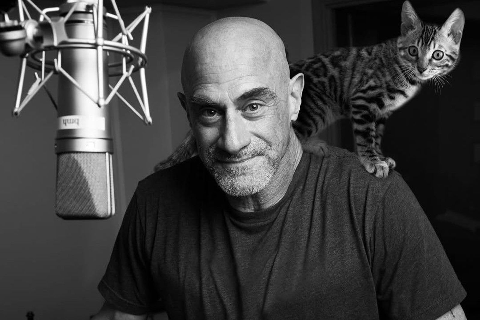 List of Christopher Meloni's Movies and TV Shows