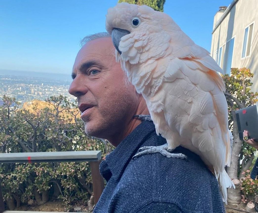 Titus Welliver Family - Father, Mother, Children and Ex-Wives