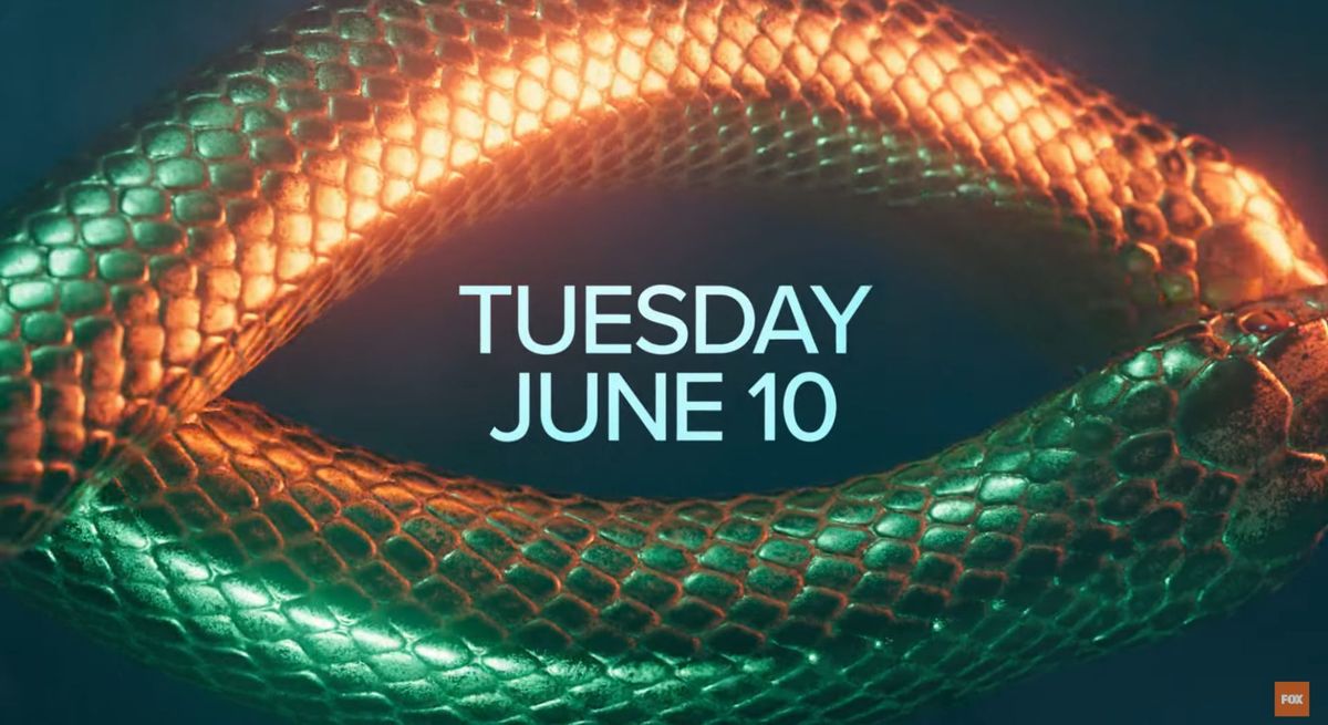 The Snake: Meet the cast