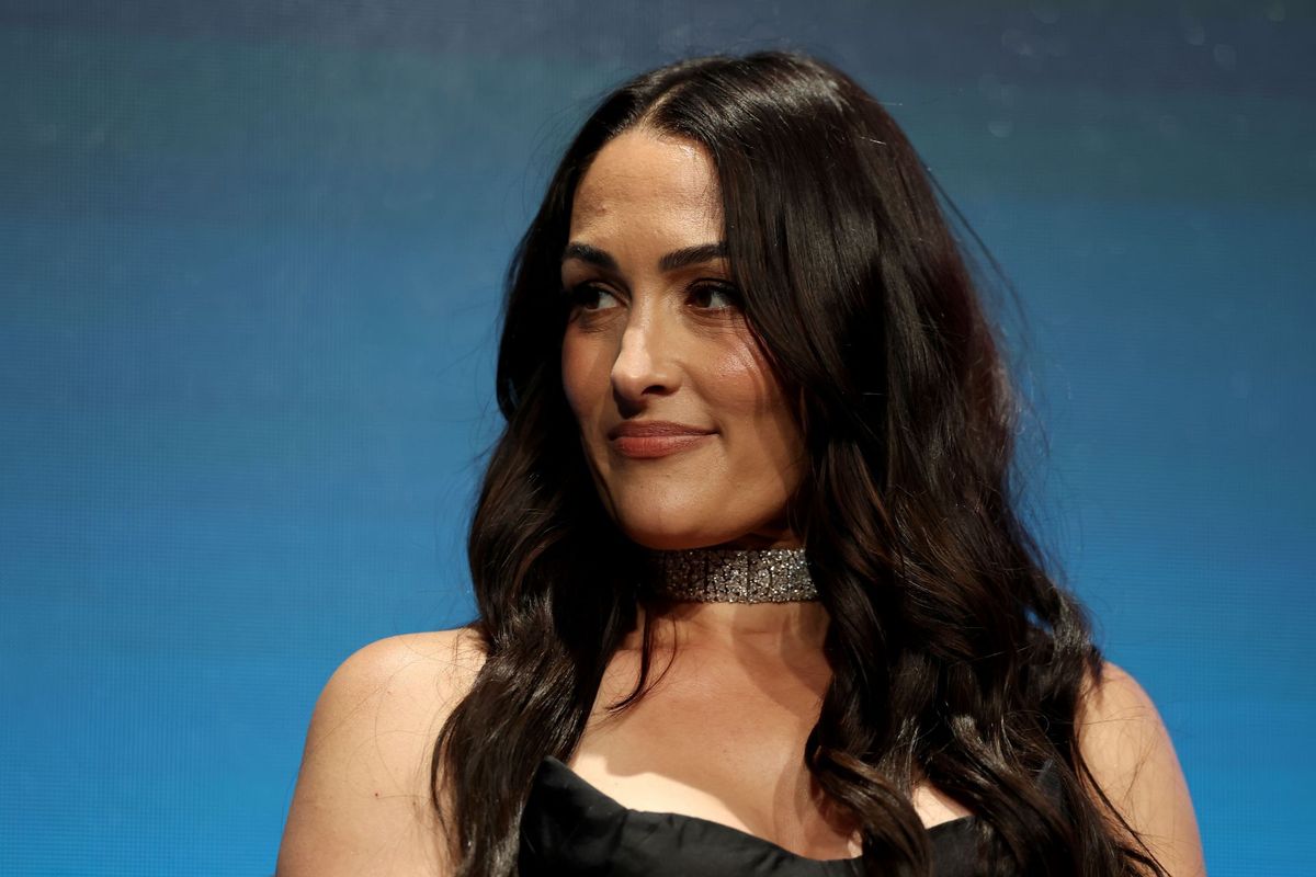 Artem Chigvintsev vs Nikki Bella Net Worth: Ex-couple’s fortune ...