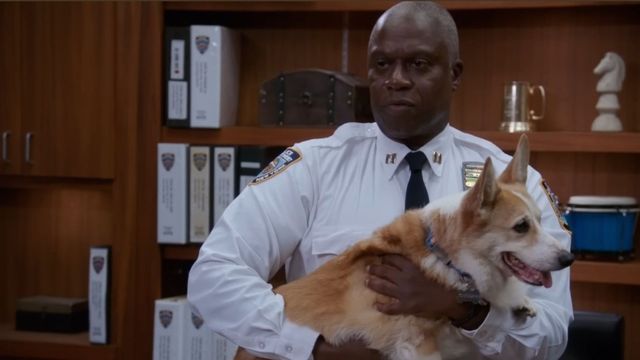 Brooklyn Nine-Nine: Top 5 Cheddar moments that stole the spotlight