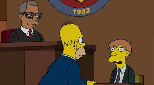 I think Homer just got his best legal defense ever in The Simpsons ...