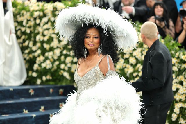 How many children does Diana Ross have? Singer graces Met Gala with 18 ...