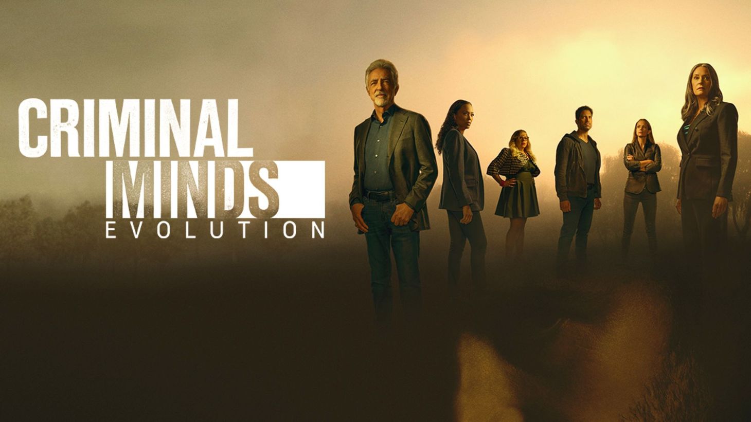 Top 10 shows like Bones, ranked by IMDb scores