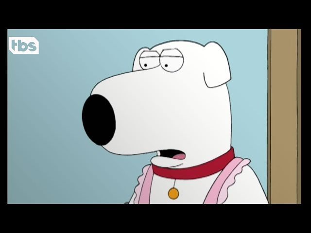 Which Family Guy episode is the funniest? Top picks, ranked