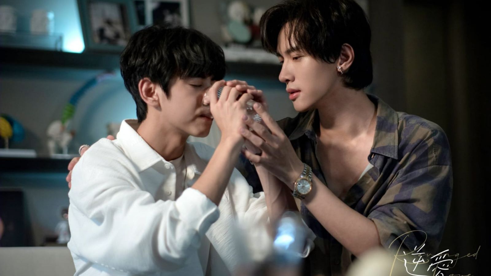 Revenged Love Episodes 15-16: Release date news, streaming details, and ...