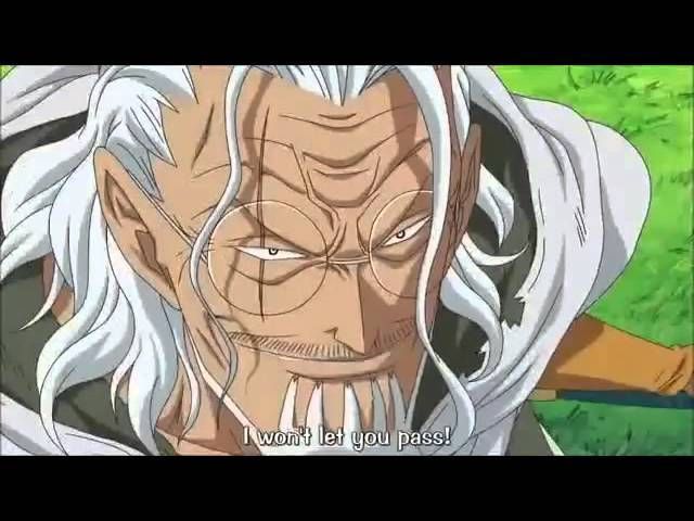 One Piece: Why Do Zoro and Sanji Fans Fight More and More Over Rayleigh ...