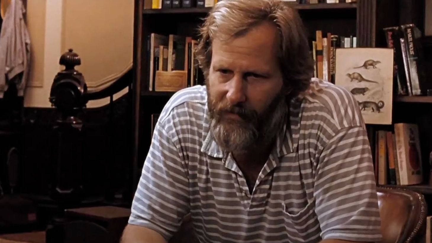 9 Jeff Daniels movies and TV shows you must watch if you admire the actor