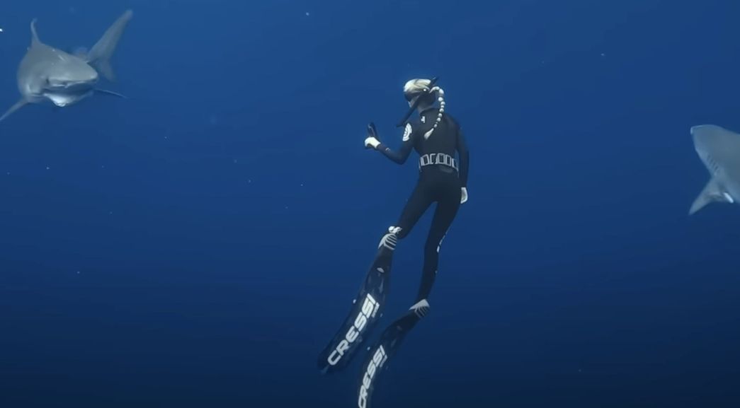 These 7 moments from Shark Whisperer felt like a close call for Ocean ...