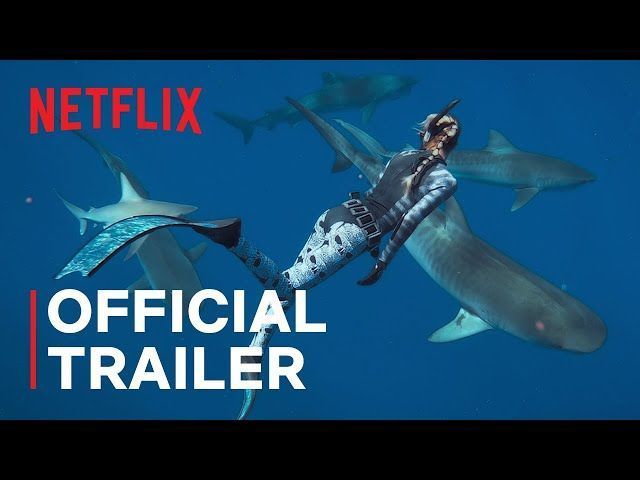 Shark Whisperer: Who is Ocean Ramsey’s husband? Details about Juan ...