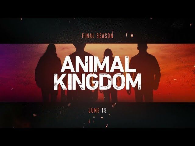 Does Animal Kingdom's ending leave the chance for Season 7 or a spin ...