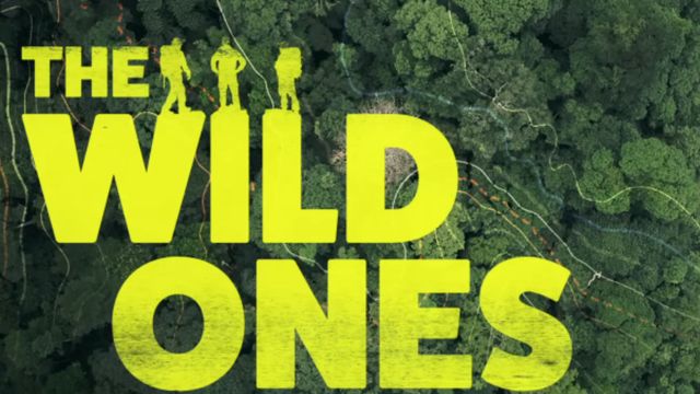 The Wild Ones Season 1: Release date news, cast details, and more about ...