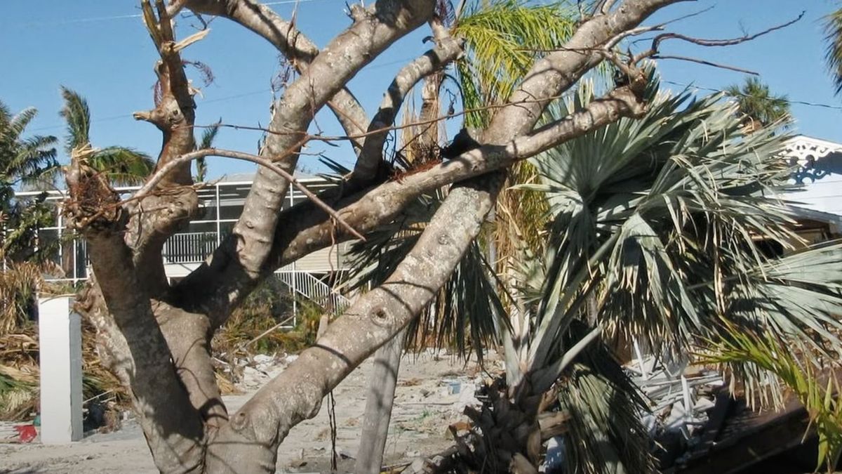 Survival Mode Episode 3: 5 harrowing details about Hurricane Ian's ...
