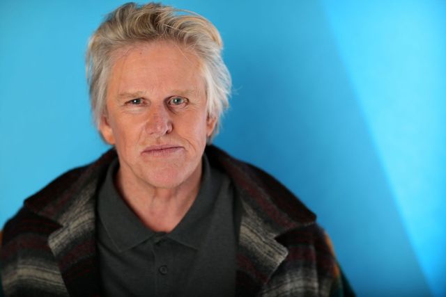 What are the charges against Gary Busey? Details explored as actor ...