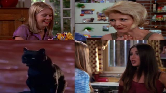 Sabrina the Teenage Witch cast and character guide: Who plays whom in ...