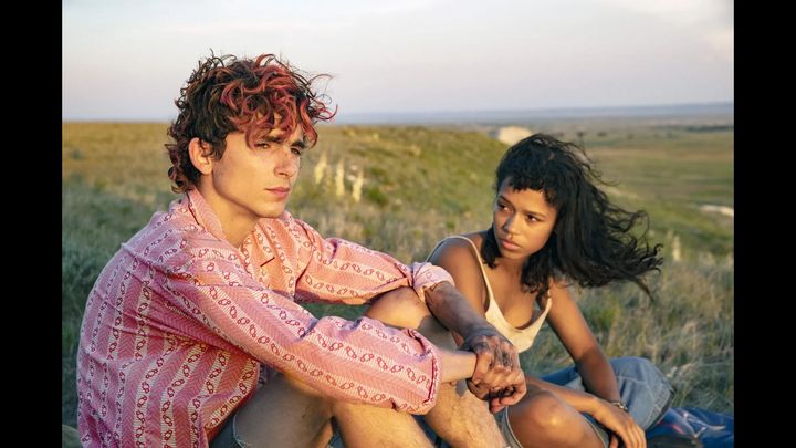 5 Taylor Russell TV shows and movies that should definitely top your ...