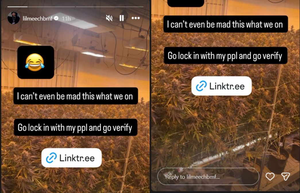 “Go lock in with my ppl and go verify”- Lil Meech reacts to Celina Powell’s relationship and ...