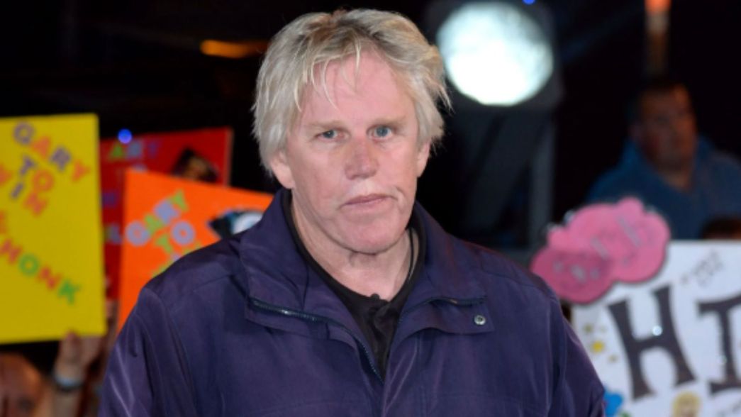 What led to Gary Busey's two-year probation in the 2022 convention ...